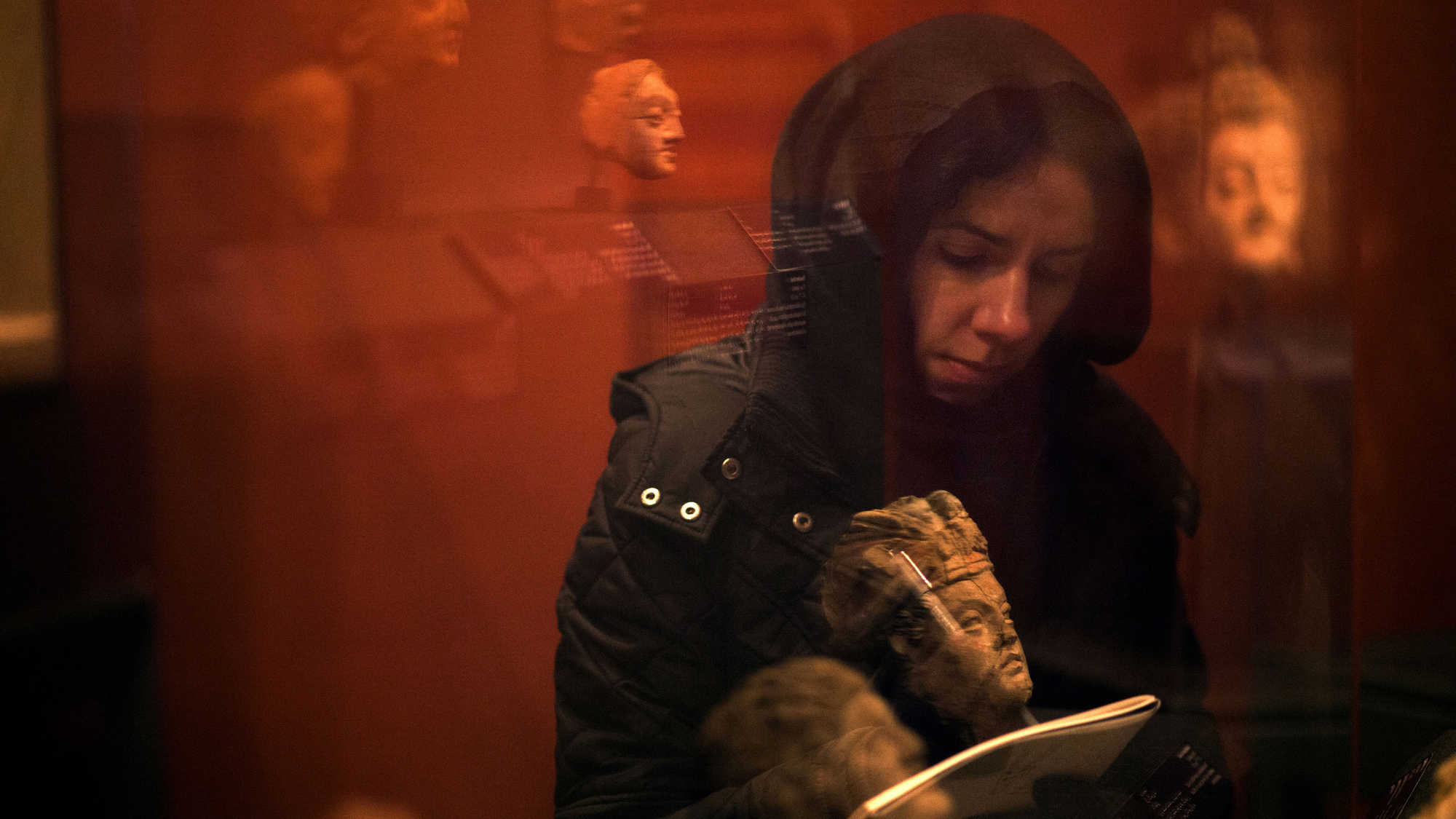 PJ Harvey: A dog called money